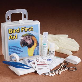 The Green-cheeked Conure: Make Your Own Avian First Aid Kit