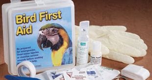 The Green-cheeked Conure: Make Your Own Avian First Aid Kit