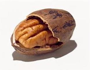 Las nuez las ventajas de comer nuez - Yonkevideos