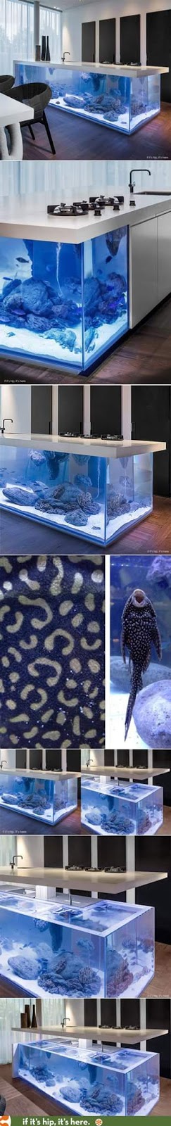 DISEÑOS DE PECERAS MODERNAS : Decoración del Hogar, Diseño de ...