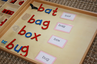 nomadic nest: Letter B Lesson Plans