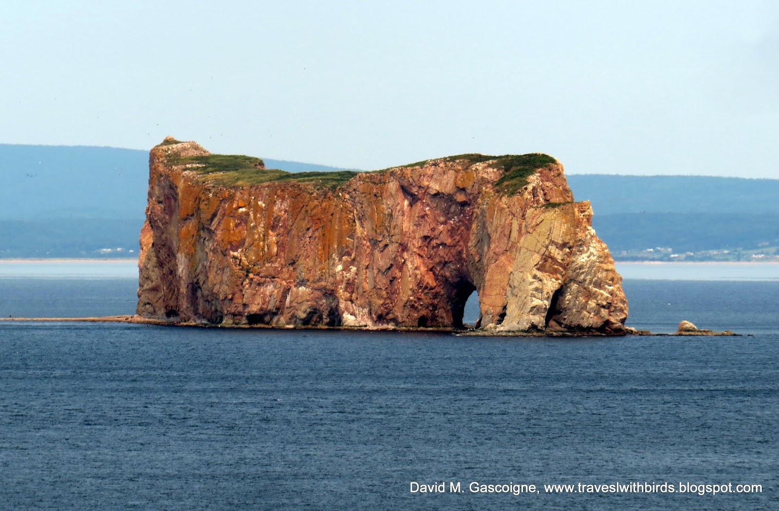 Trip to Gaspé, QC Part 1 - Travels With Birds