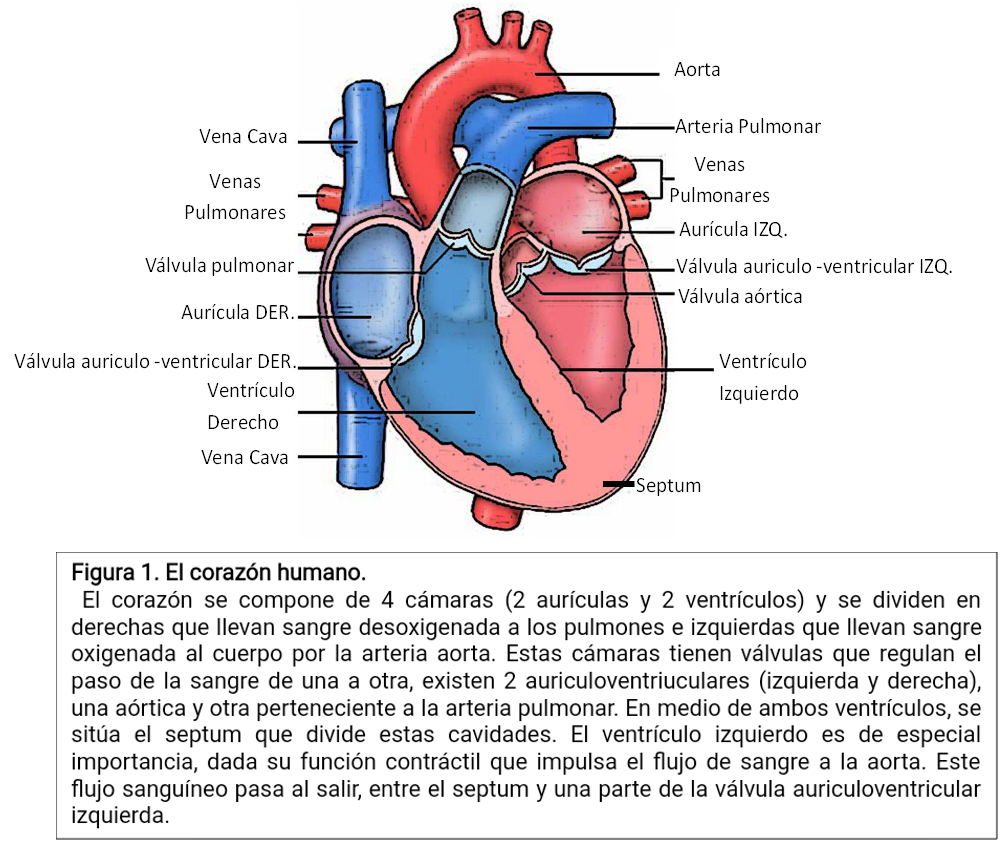 DIVULGACIÓN CIENTÍFICA UG