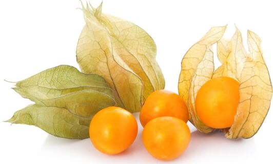 MAICES DEL NANSA: LA UCHUVA, UN SUPERALIMENTO