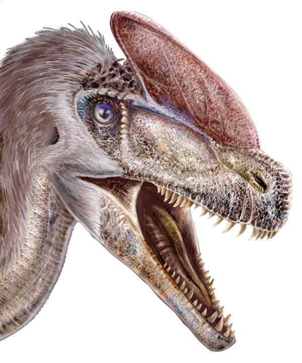 Species New to Science: [Paleontology • 2006] Guanlong wucaii 'crown ...