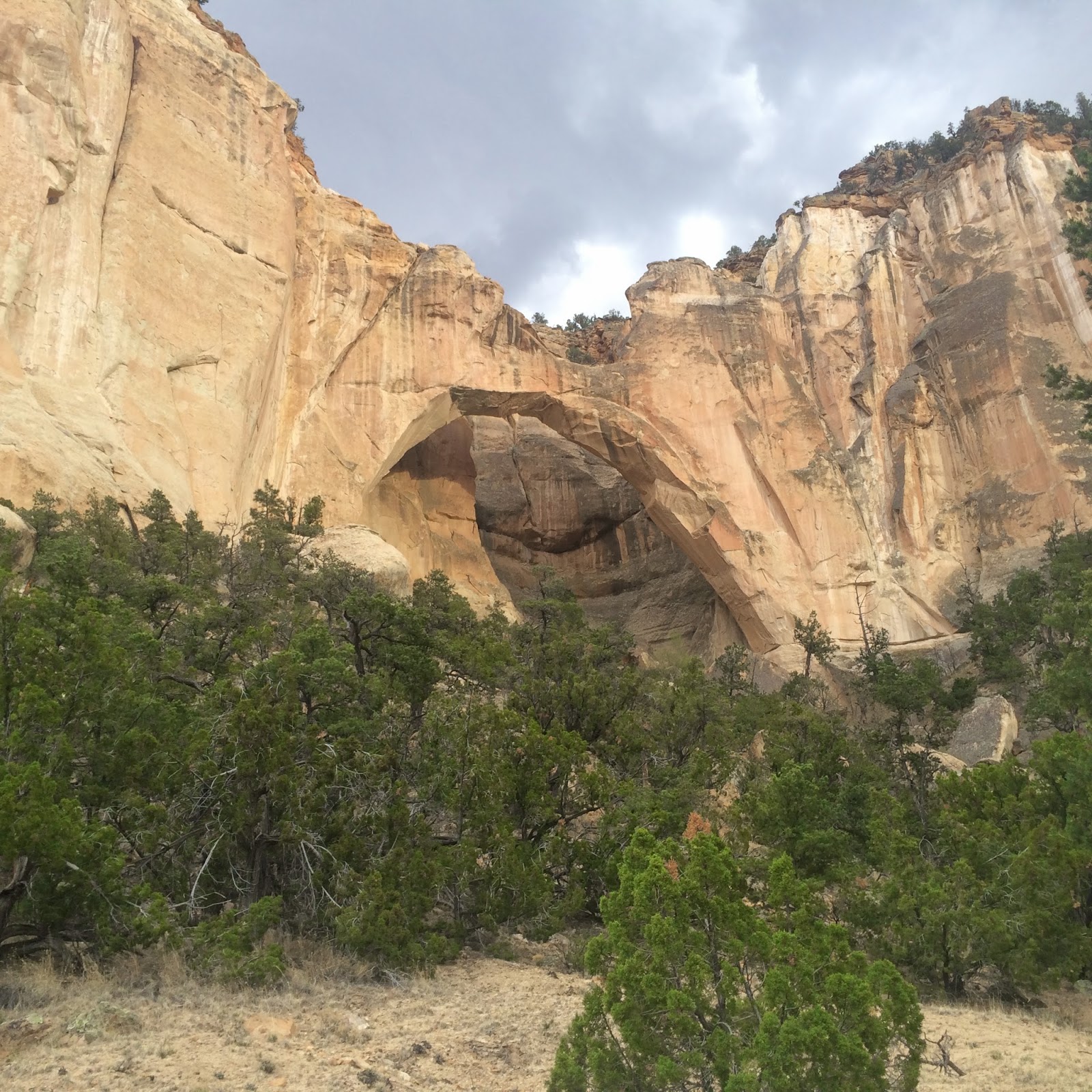 Lt. Dan hikes the Continental Divide Trail: Day 20: Malpais - Lava ...
