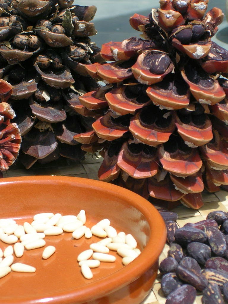 MY KITCHEN IN SPAIN: TAKING PINE NUTS BEYOND PESTO