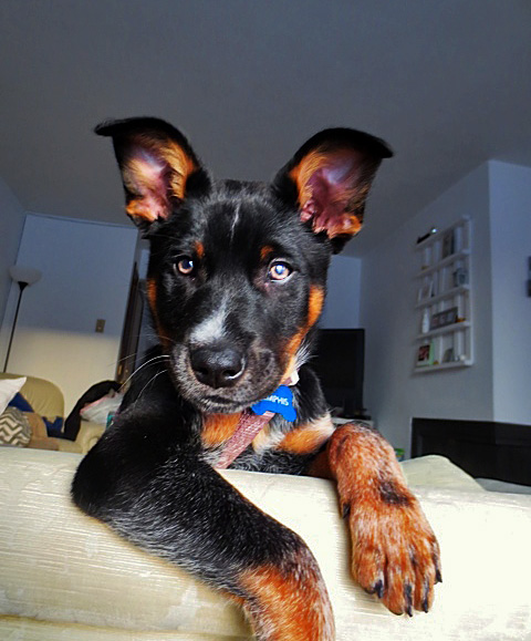 Life, Nic Nacks, and Everything Between