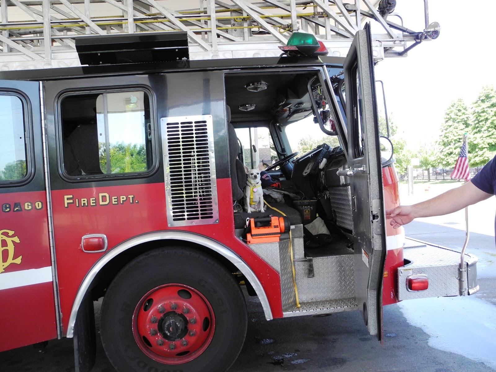 A Day in the Life of Piranha Banana: Chicago Fire Department - Truck 49!