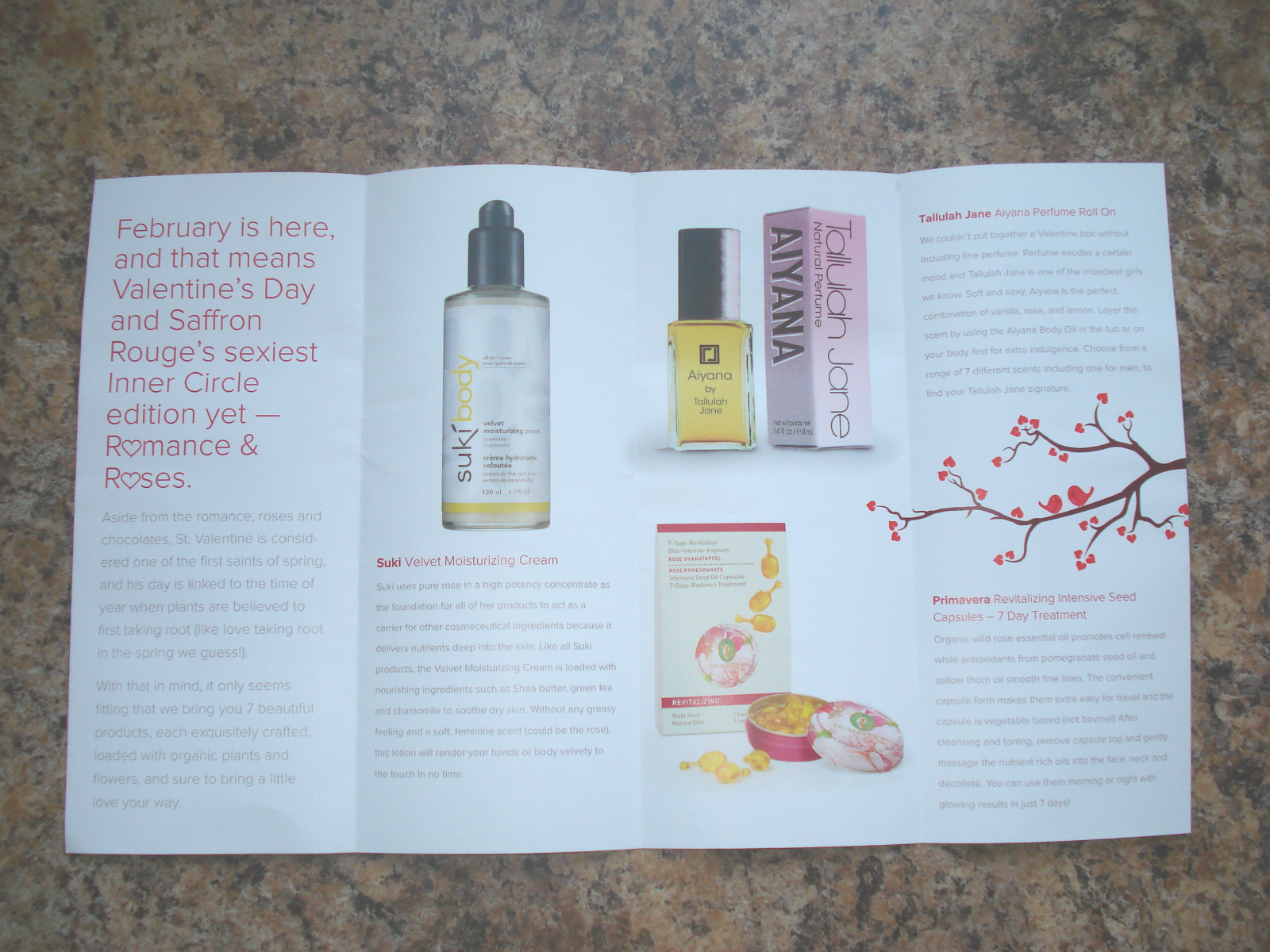 Magnificent Road: - - Saffron Rouge Inner Circle | February 2014 Review