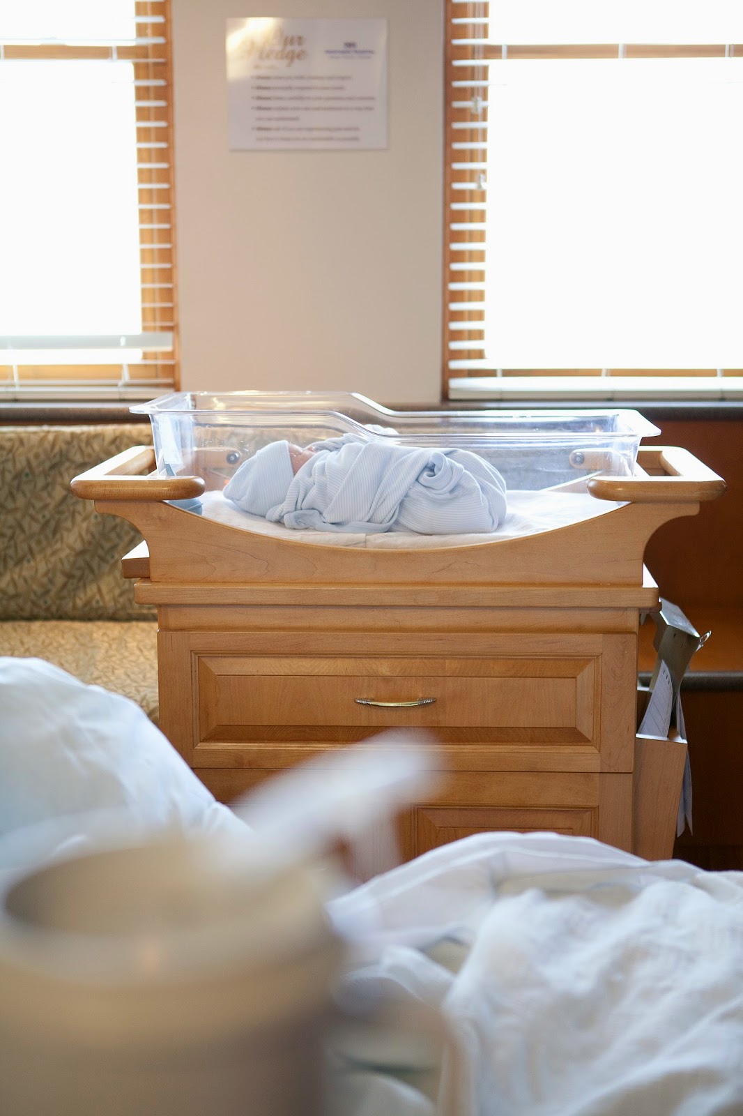 Alia Steele Photography