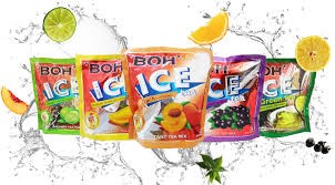 Hipster Cafe: BOH PLANTATION SDN BHD