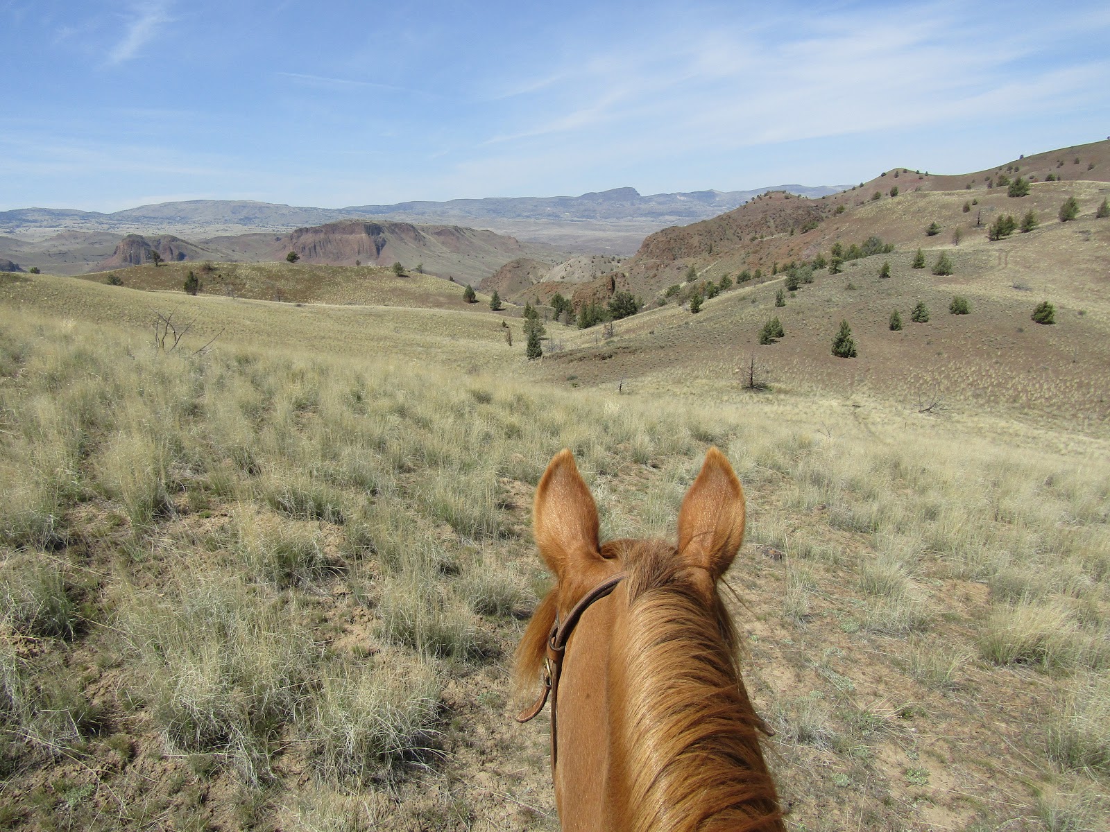 Holly's Horse Tales and Trails: Spring Basin, Sutton Mountain and ...