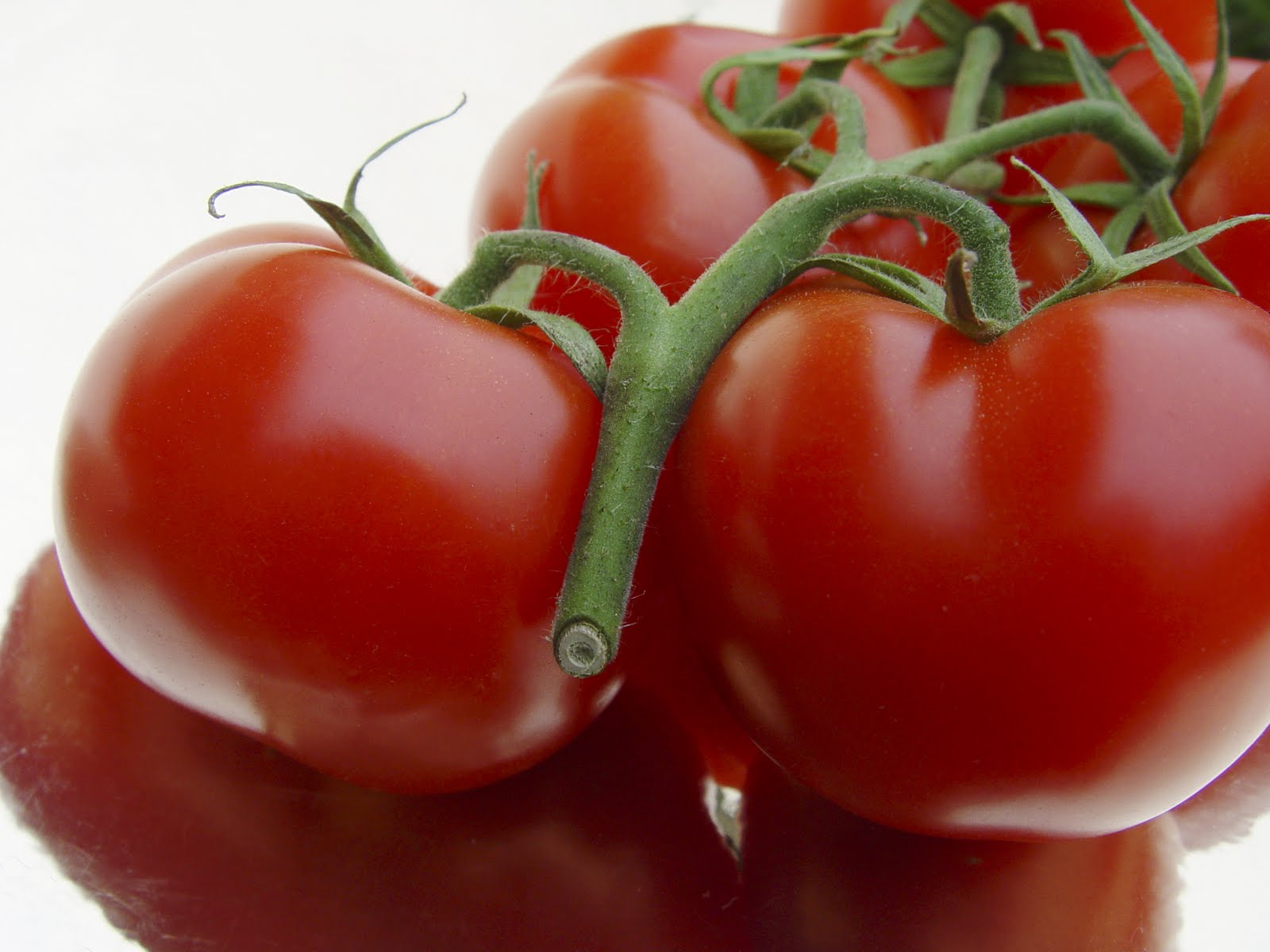 The Mix Gal: Scalloped Tomatoes