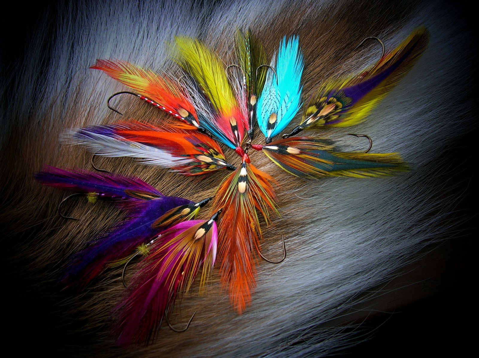 Small Stream Reflections: Streamers 365.....