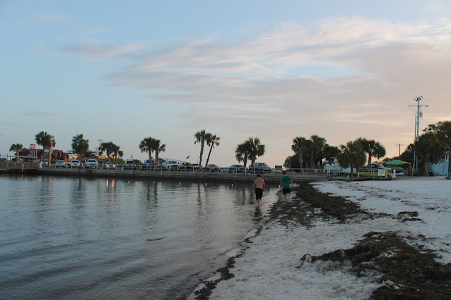 Cedar Key - Here We Come