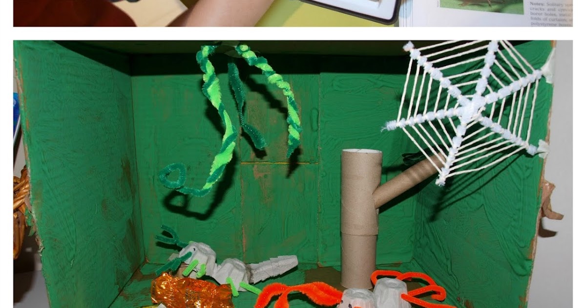 Pipe Cleaner Spiders Web