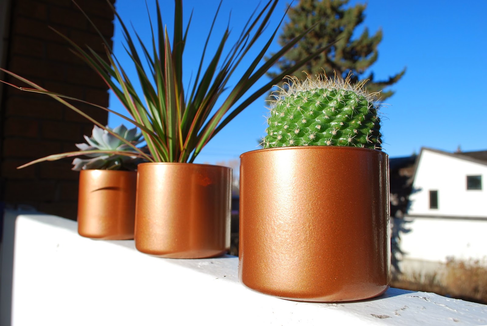 The Mavric: DIY Copper Planters