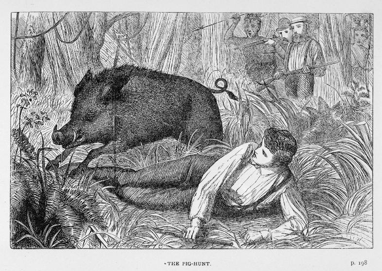 James Fagan History Blog: The history of wild pig hunting in New Zealand
