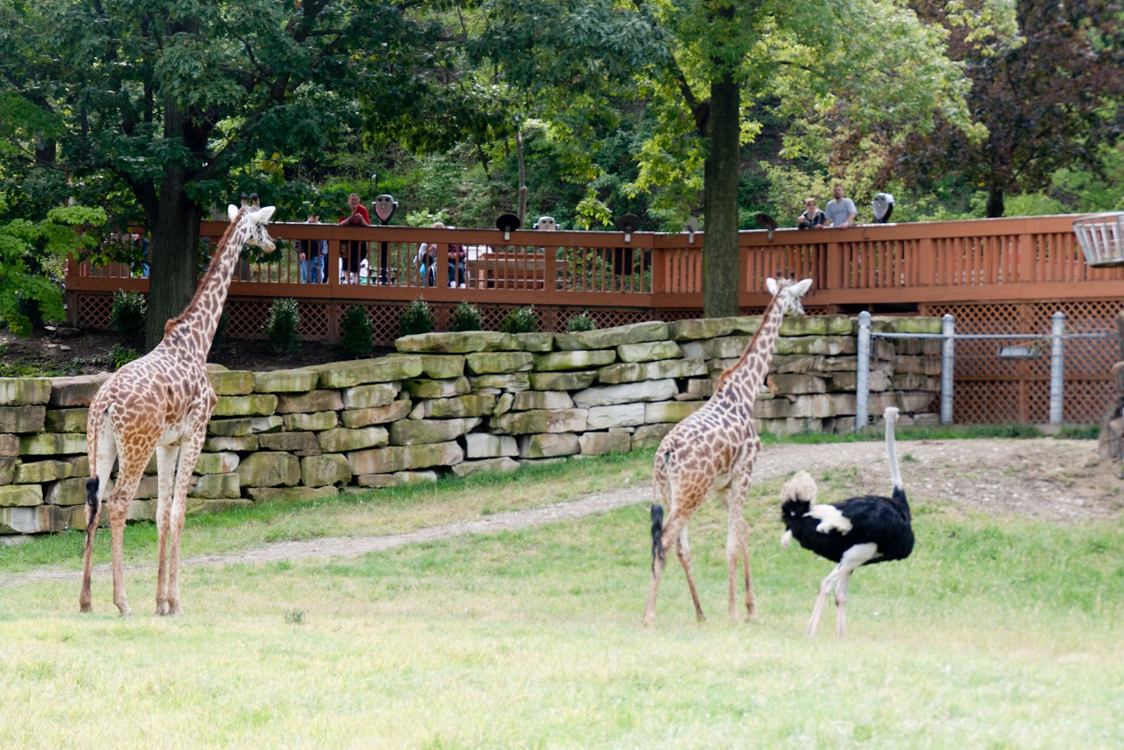 Cleveland City Guide: The Cleveland Zoo | Tiny Sputniks