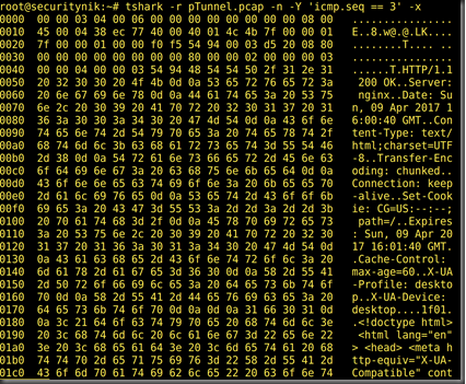 Learning by practicing: ICMP Covert Channels: pTunnel – Network ...