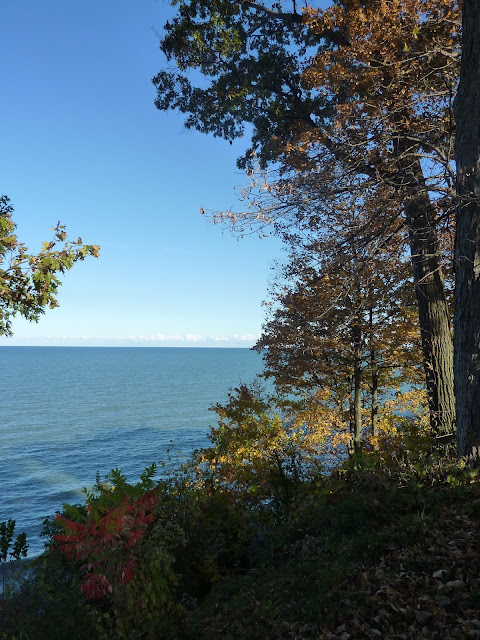 Romancing the Home: Leaving Lake Bluff