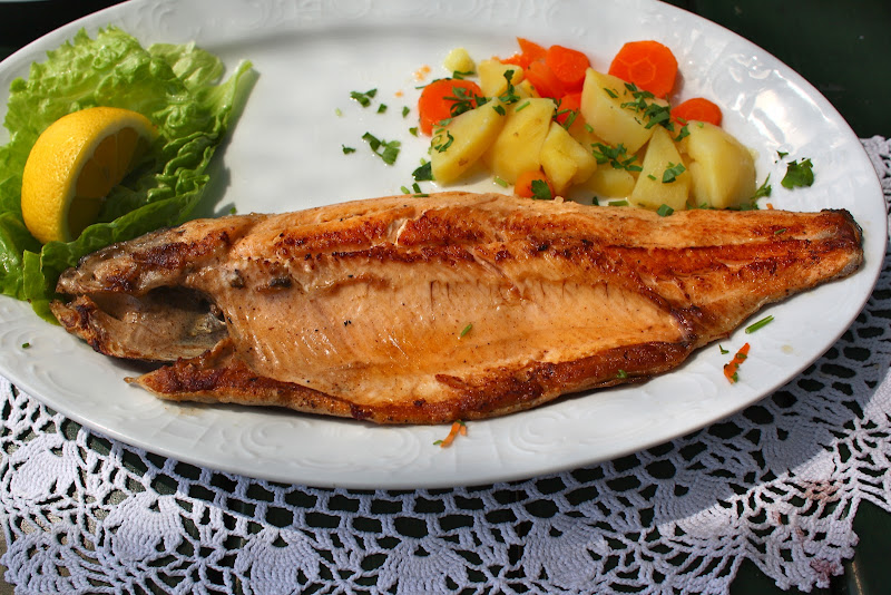 Merlin and Rebecca: Everything Except The Trout at Ohrid