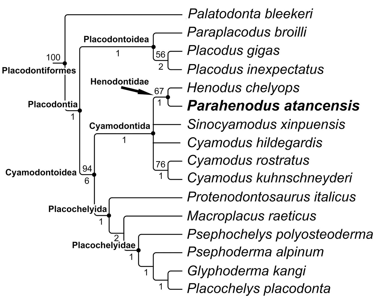 Species New to Science: May 2018