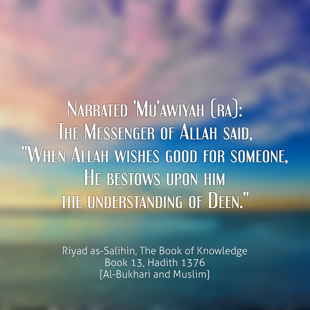 Islam Daily: "When Allah wishes good for someone, He bestows upon him ...