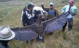 "Juntos en el Camino de la Vida": El Condor Pasa! (The Condor Passes)