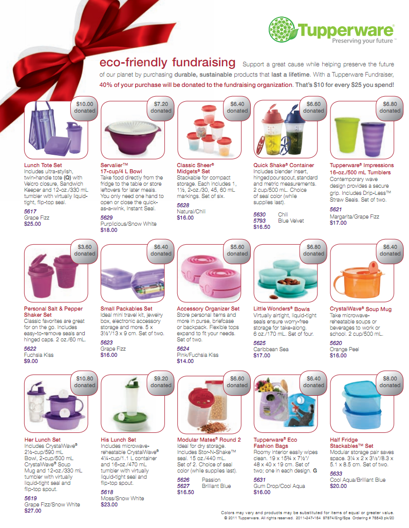 Shonnie's Totally Fun With Tupperware Blog: Fundraising