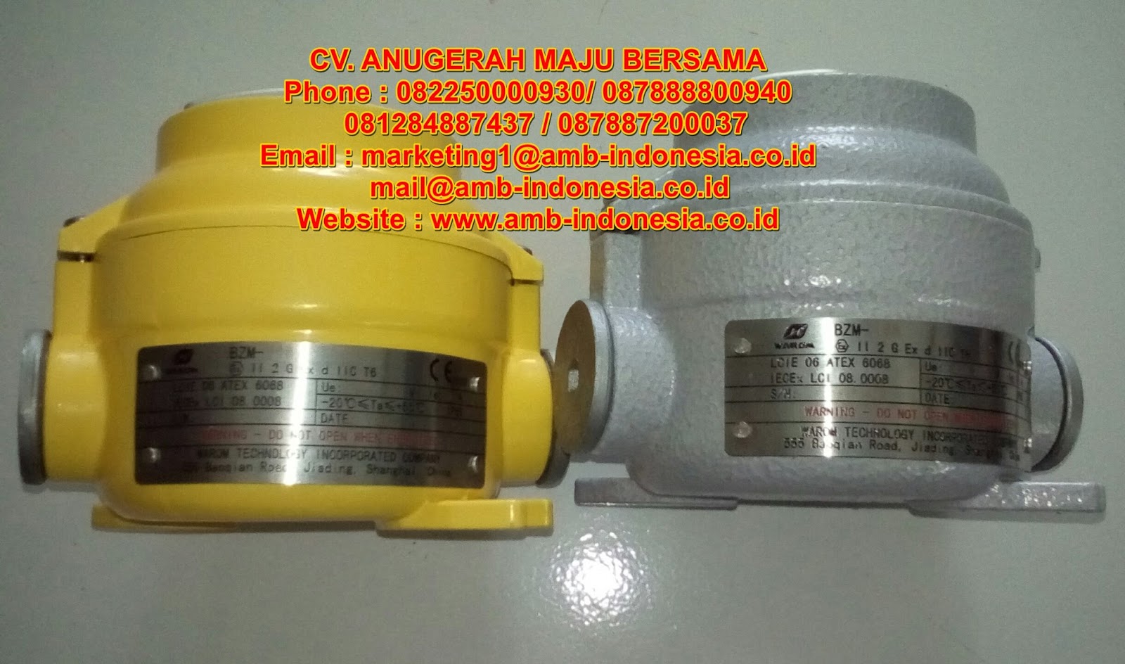 Warom Explosion Proof Electrical: Selector Switch Explosion Proof ...