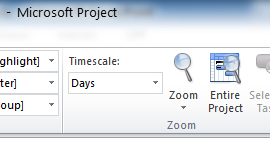 View Menu | Quick MS Project