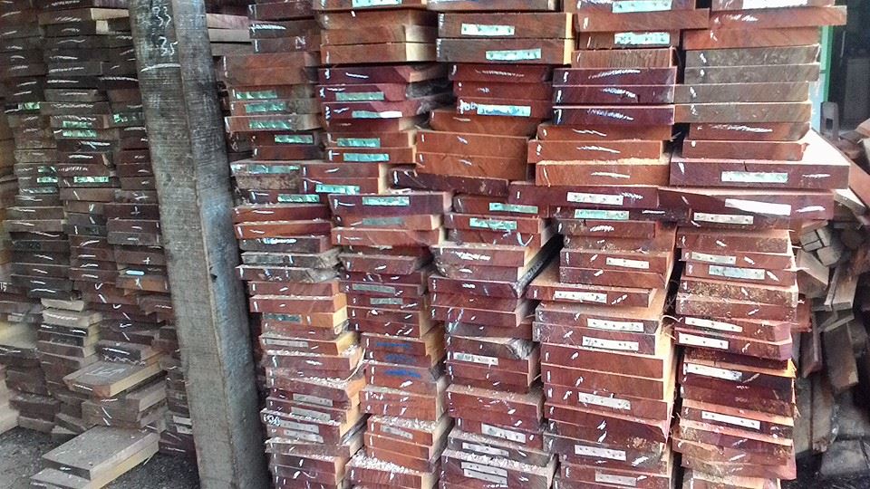 Harga Jual Kayu Mahoni - DUTA RIMBA INDONESIA