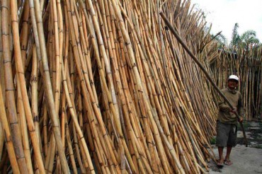 handicrafts of rattan | PELUANG BISNIS