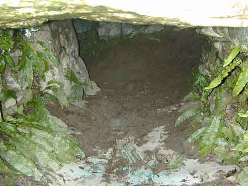 SilentOwl: Oweynagat The Cave of The Cats, Part Two.