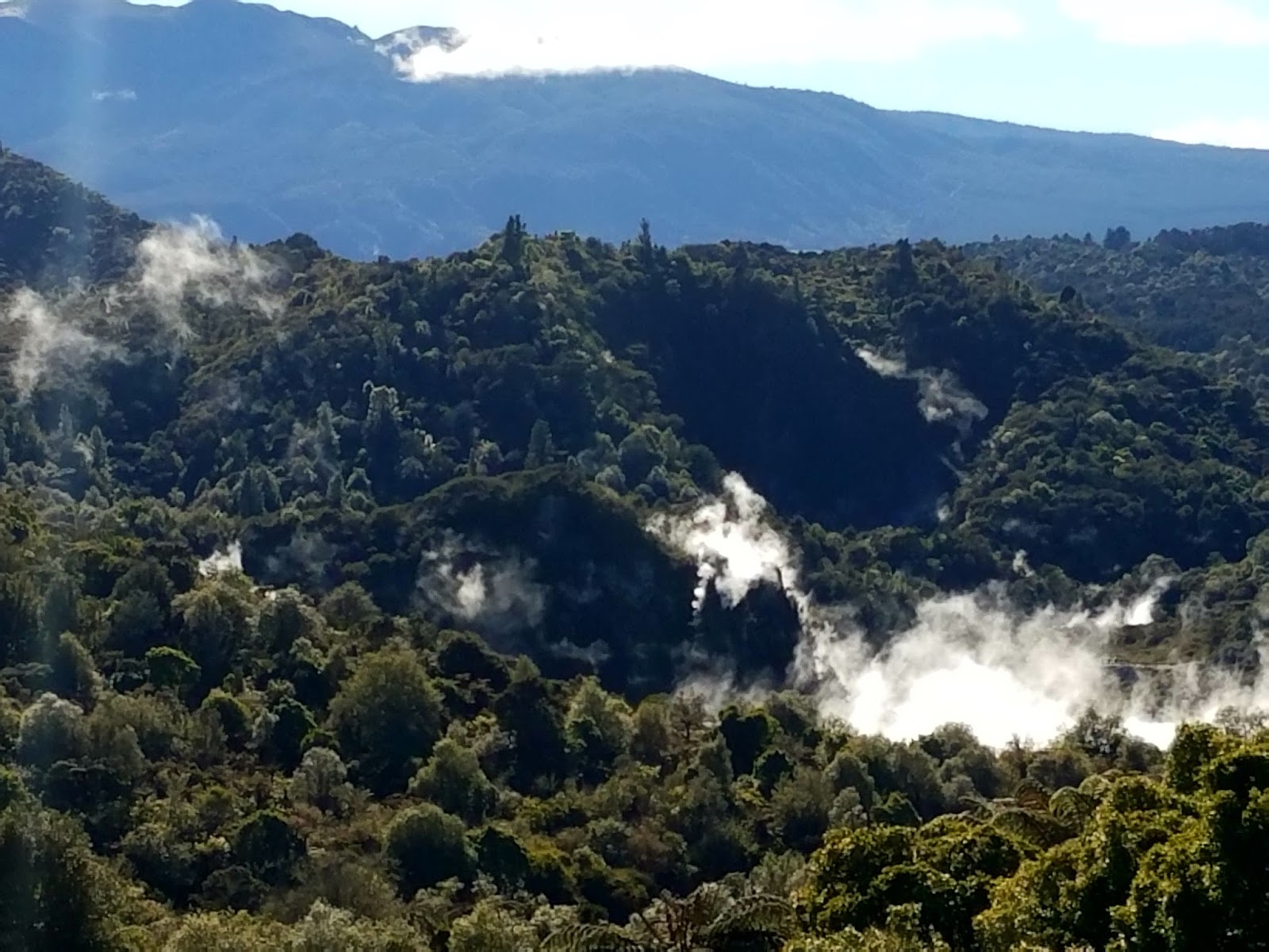 Traveling with Lyn: Rotorua and the Waimangu Volcanic Valley