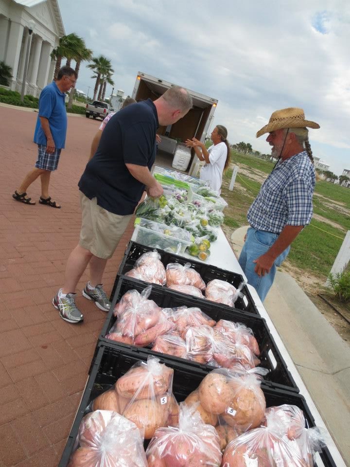 Conquering the World One Rhinestone at a Time: Kipper + OCD + Road Trip ...