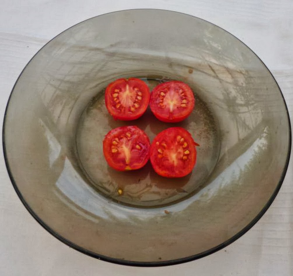 Din gradina,: Tomate cultivate in 2013