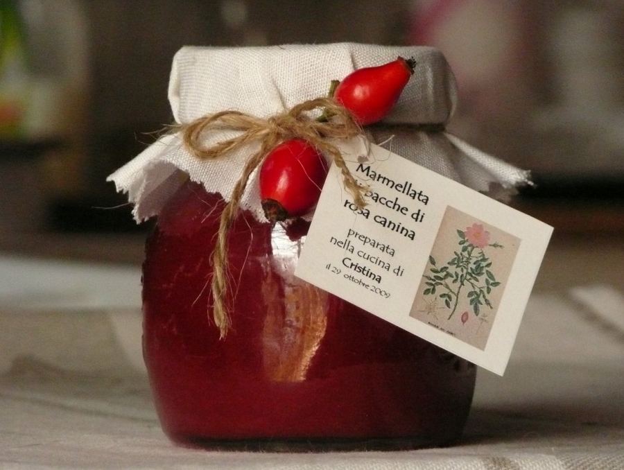 Macesul, trandafirul sanatatii