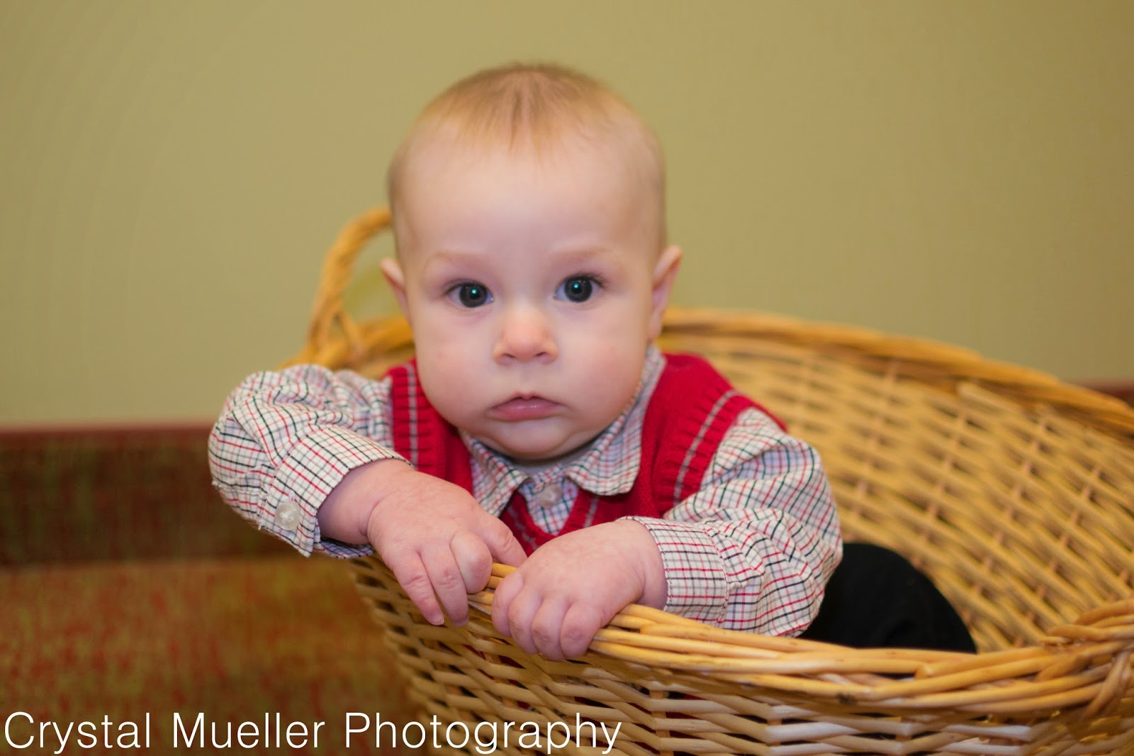 Crystal Mueller Photography