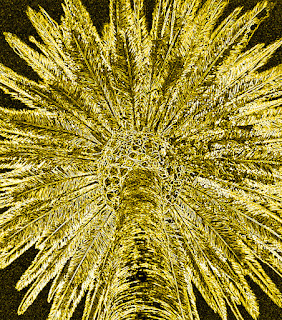 Roswila's Dream & Poetry Realm: YOU LIGHT UP MY LIFE (photomorph) & THE ...