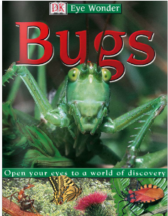 Classroom Magic: Create an Insect Freebie