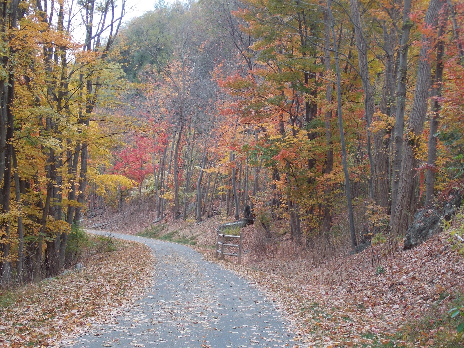 Adventures for Anyone: The Best of My Fall Photos...In Connecticut!