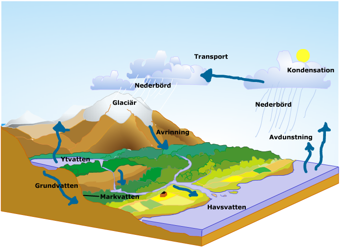 naturkunskapsitilda: vattnets kretslopp!