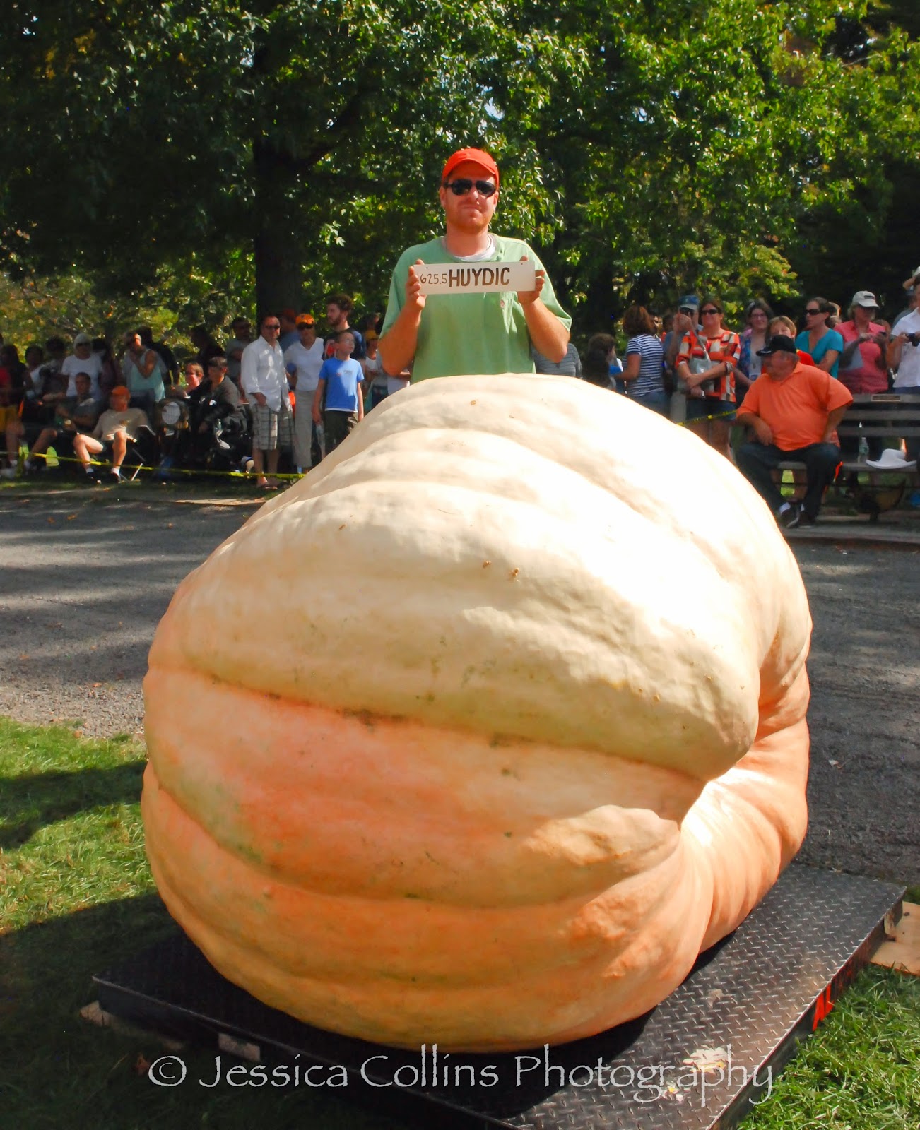 Jessica Collins Photography: The wait is over...the pumpkin and squash ...