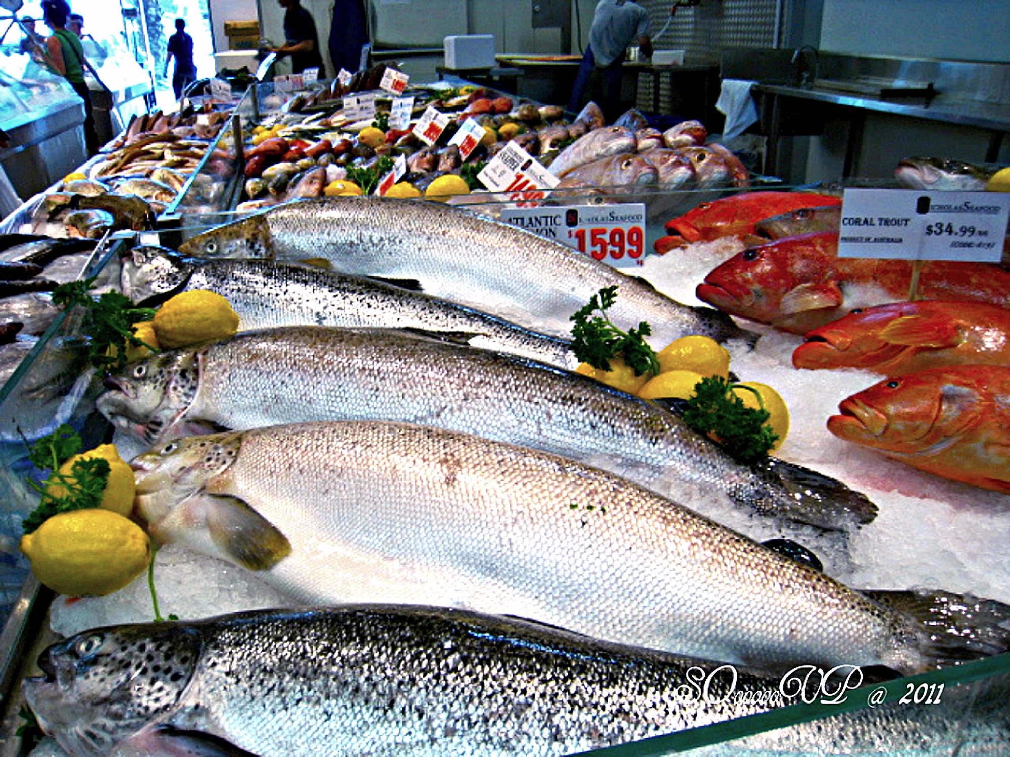 SOoooooUP: SYDNEY FISH MARKET (II)
