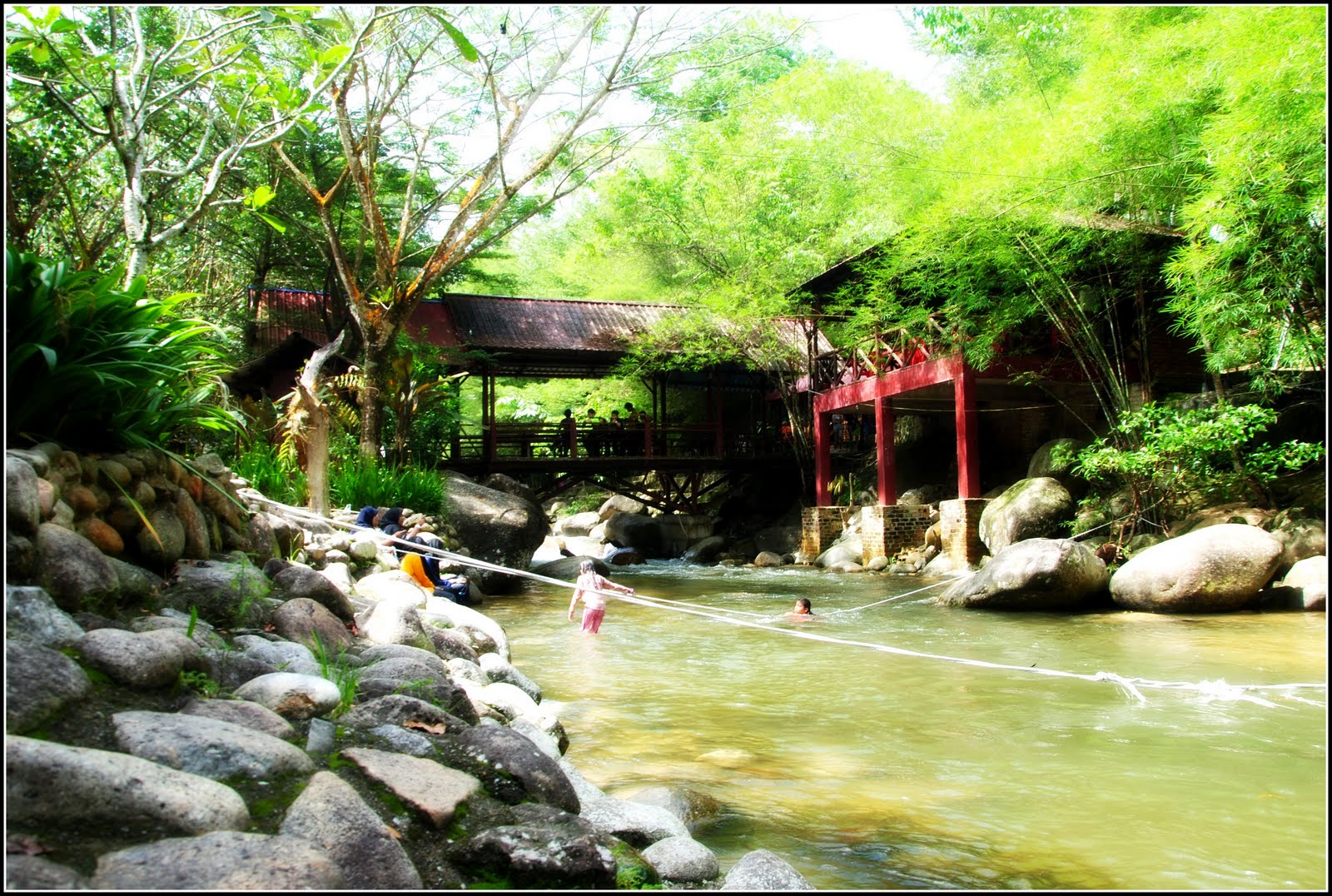 Kalumpang Resort & Training Centre: Pemandangan