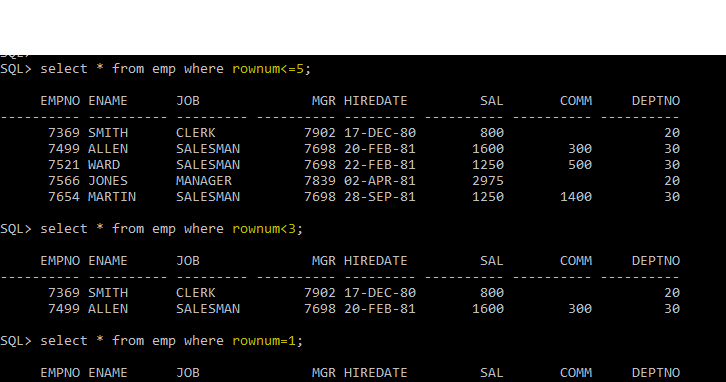 Tutorial IT Point: SQL Rownum Pseudo Column