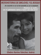 Editorial Fray Bartolomé de Las Casas: HISTORIA DE CHIAPAS